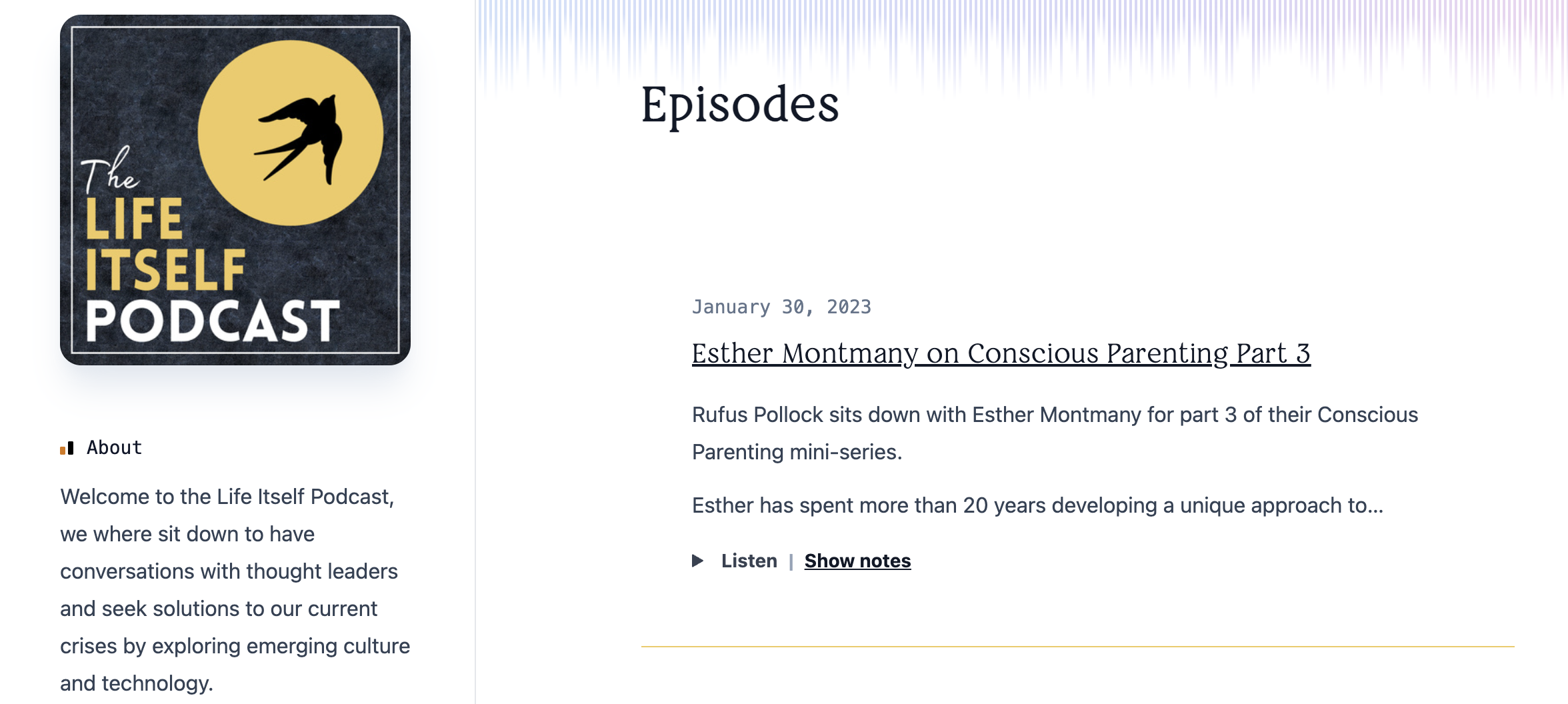 The Life Itself Podcast